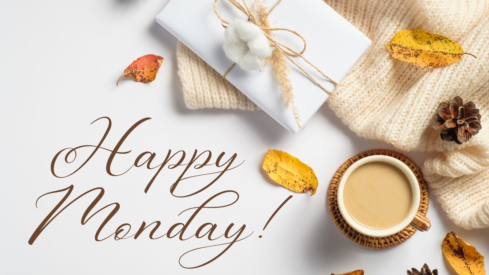 Monday Update and Editing a Series | Vania Margene Rheault